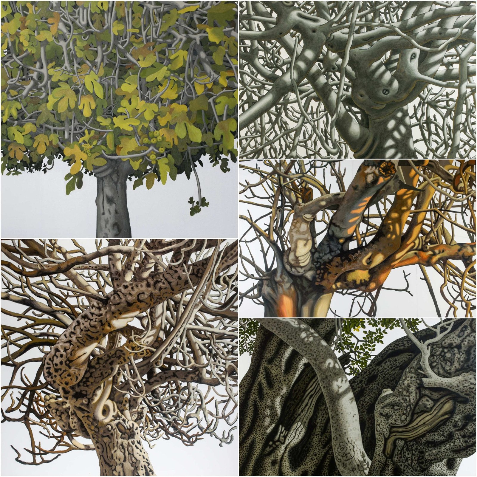 Exposición del felanitxer Andreu Maimó en Kairoi Art Digital Museum - Digital Manacor