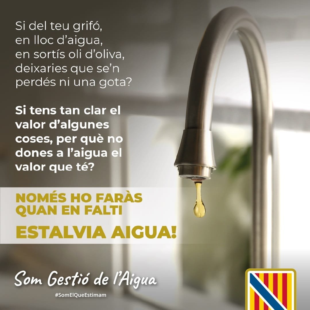 Campaña para promover el uso racional del agua - Digital Manacor