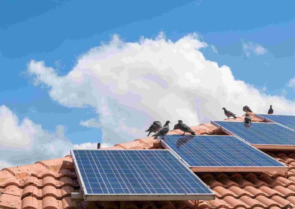 Ocho millones de euros más para subvencionar placas solares en ...